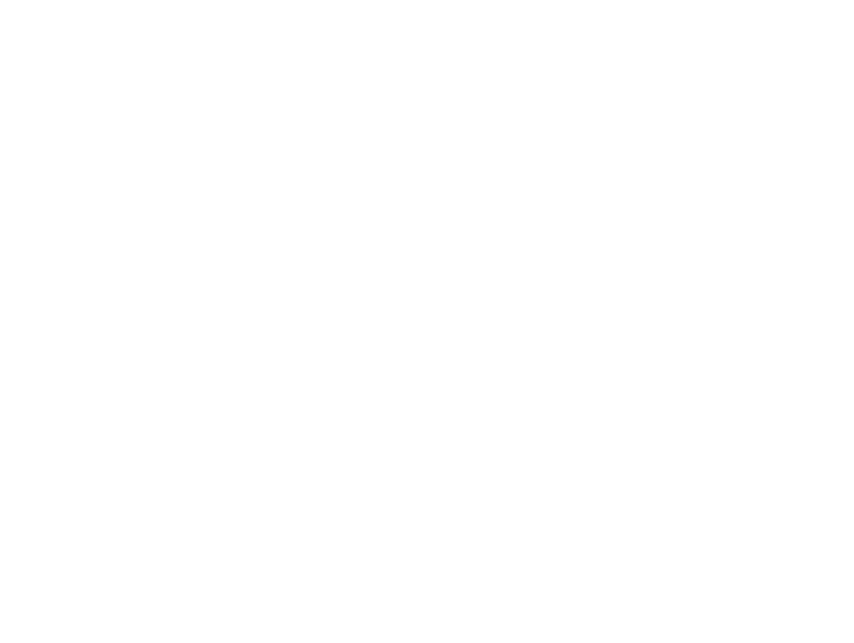 What Is A Telehandler? Everything You Need to Know